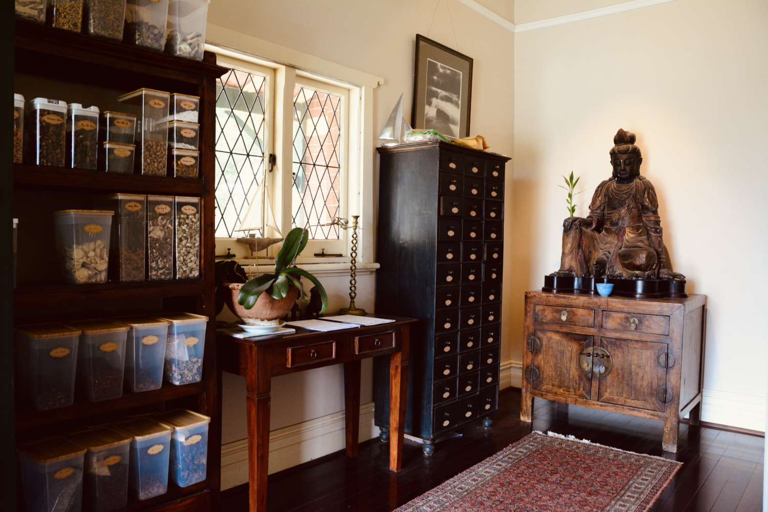 Home - Chinese Medicine Centre